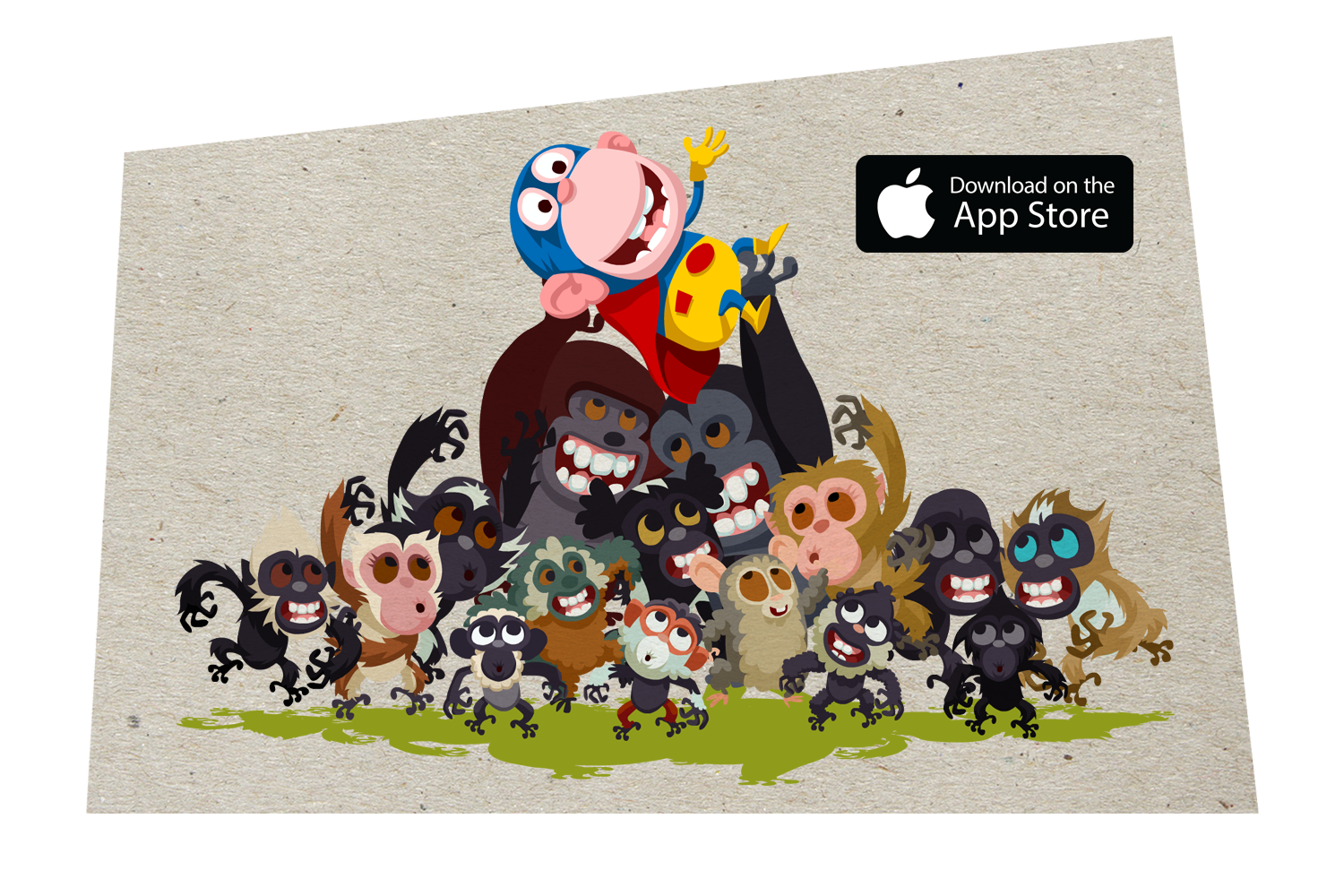 Symas the Monkey | Monkey Sanctuary